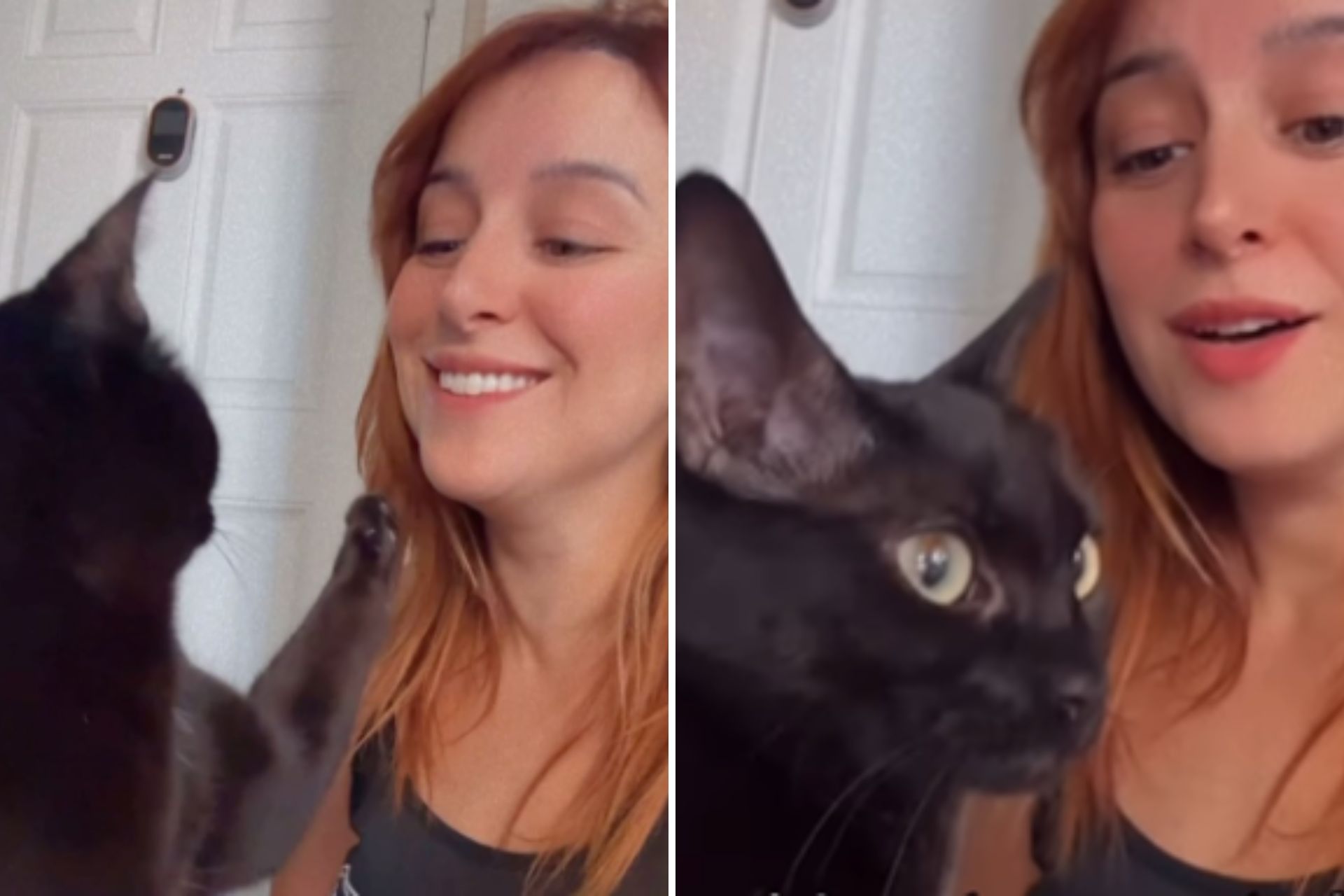 Fã Número 1 Gatinha Reage A Cantoria De Tutora E Encanta Web Assista