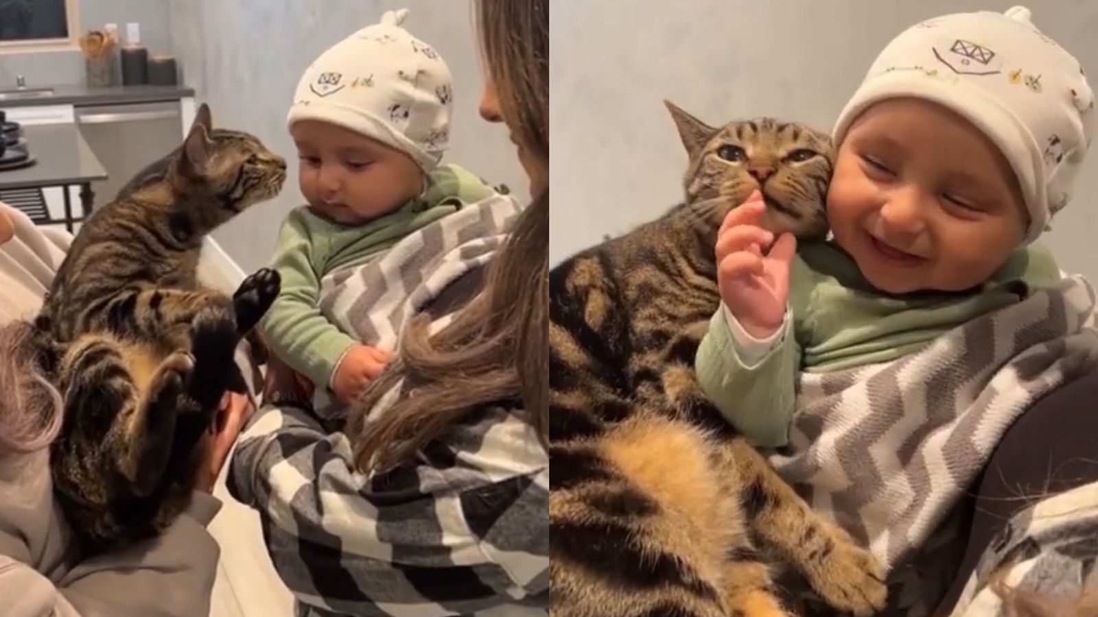 Primeiro contato entre gato e bebê sai melhor que esperado e momento ...
