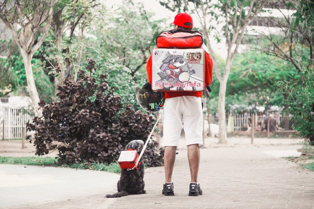 Conheça a história de Ruby Fofa, a cadela entregadora que faz sucesso ...